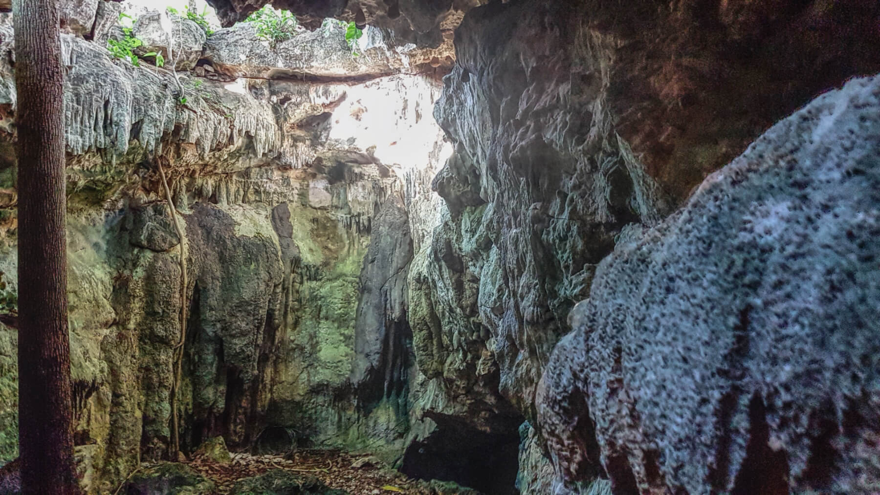 Cenotes - What are they, rituals, sacrifices, different types, present ...
